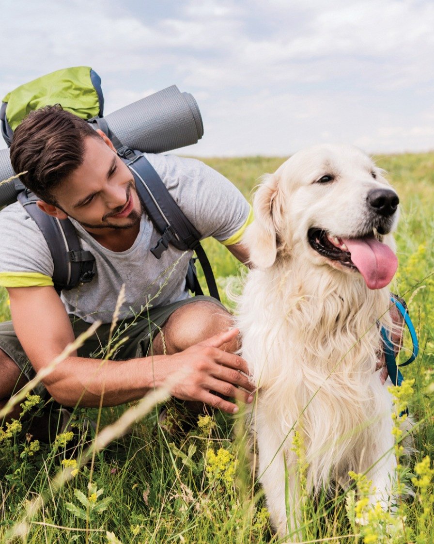 Compana Pet Brands | Pet Care Solutions