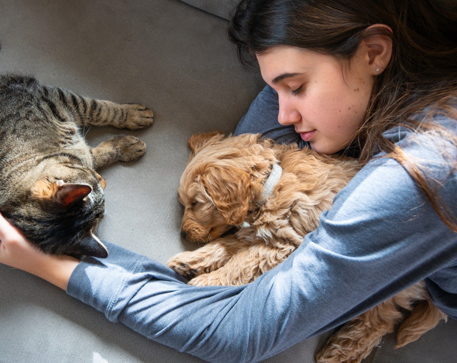 Compana Pet Brands | Pet Care Solutions