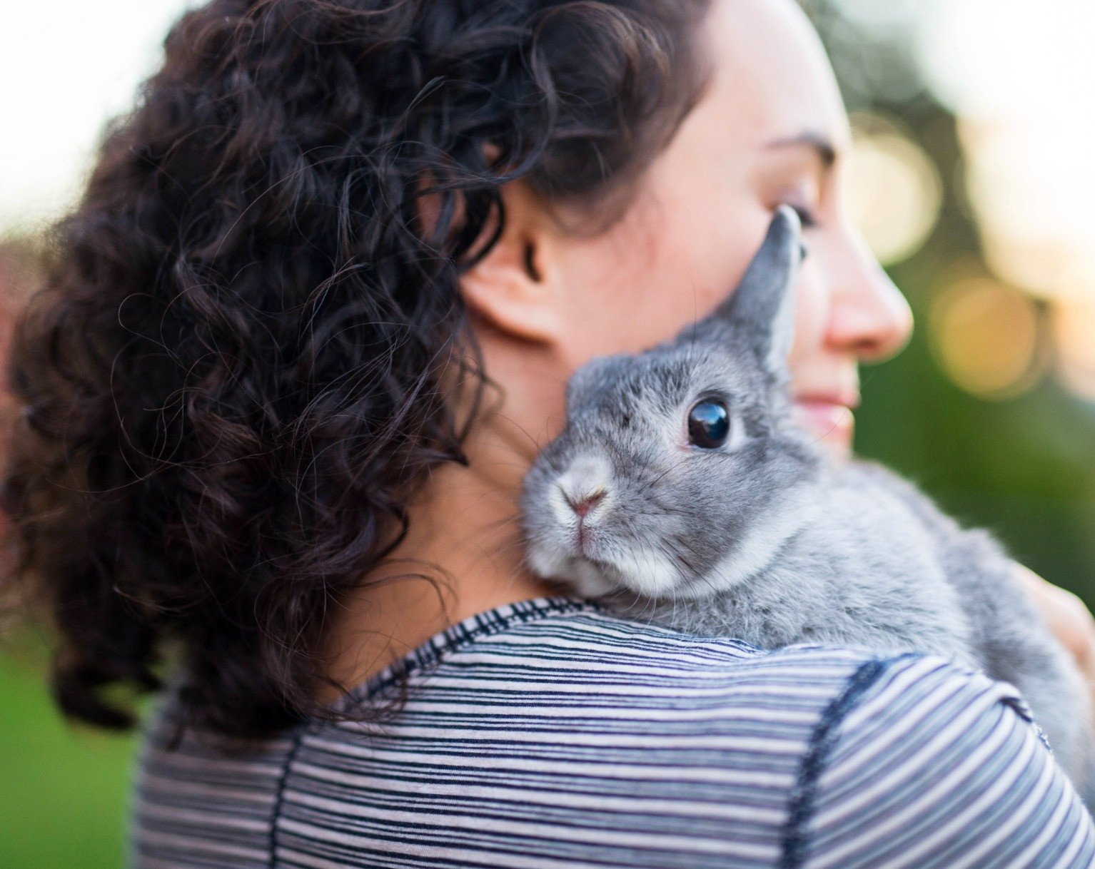 Compana Pet Brands | Pet Care Solutions